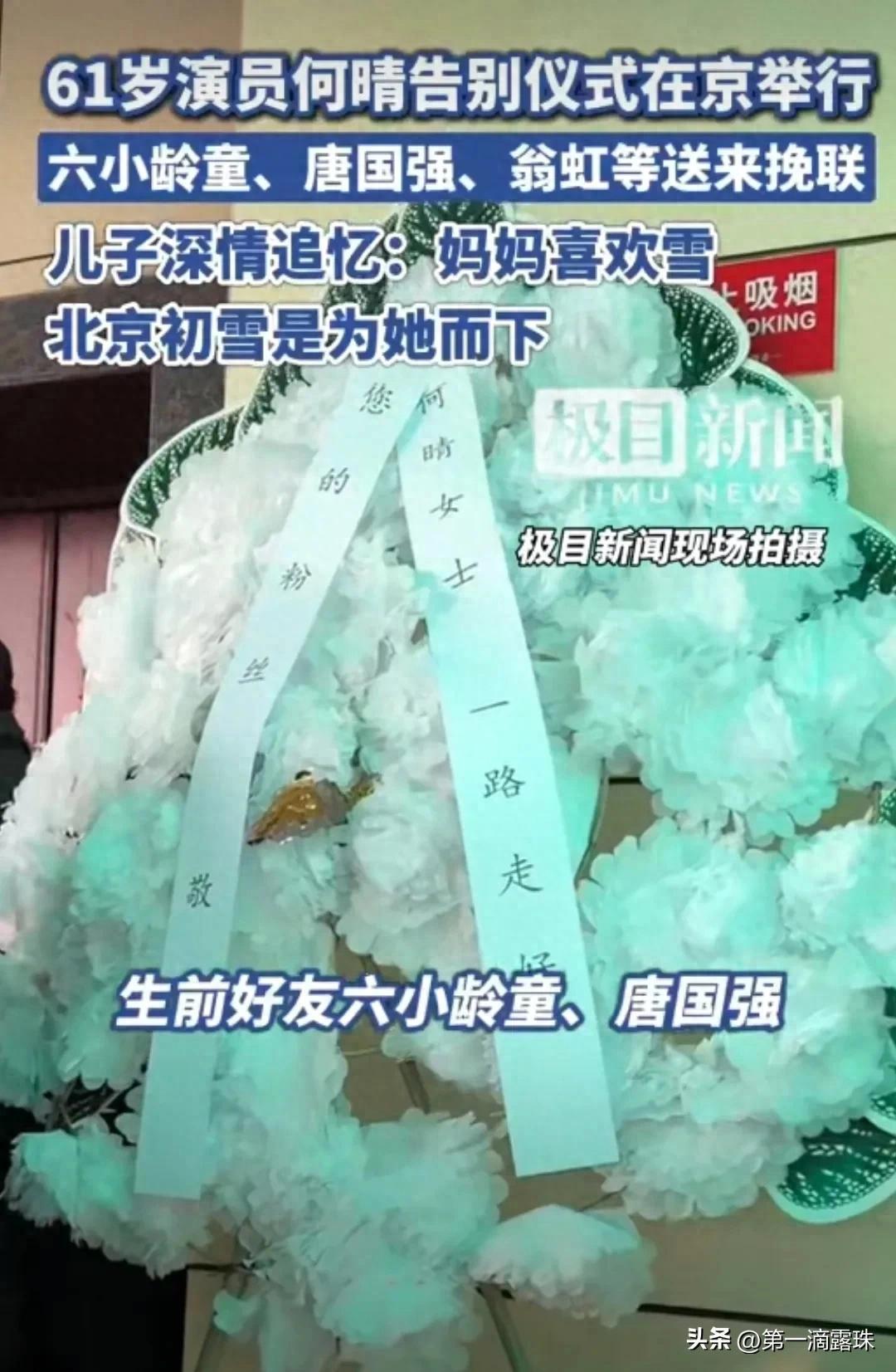 何晴告别仪式，影迷现场送别，儿子许何追忆母亲，许亚军疑似现身